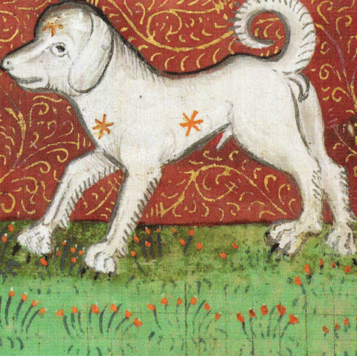 A Medieval Dog’s Dinner – Honey's Real Dog Food